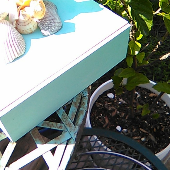 Accents | Recycled Cigar Box Mint Green With Shells | Poshmark